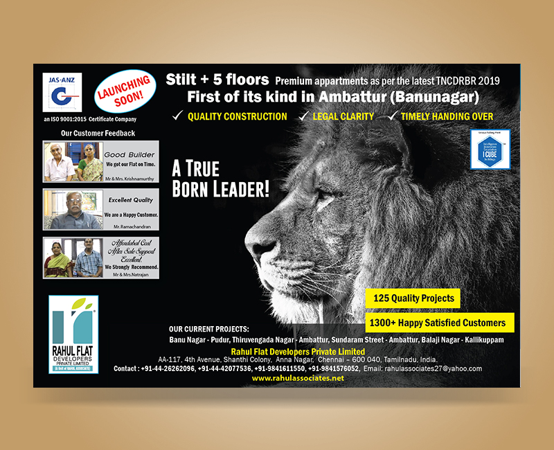 Print Ad Portfolio